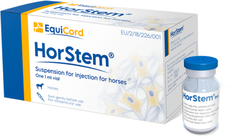 HorStem | Equicord